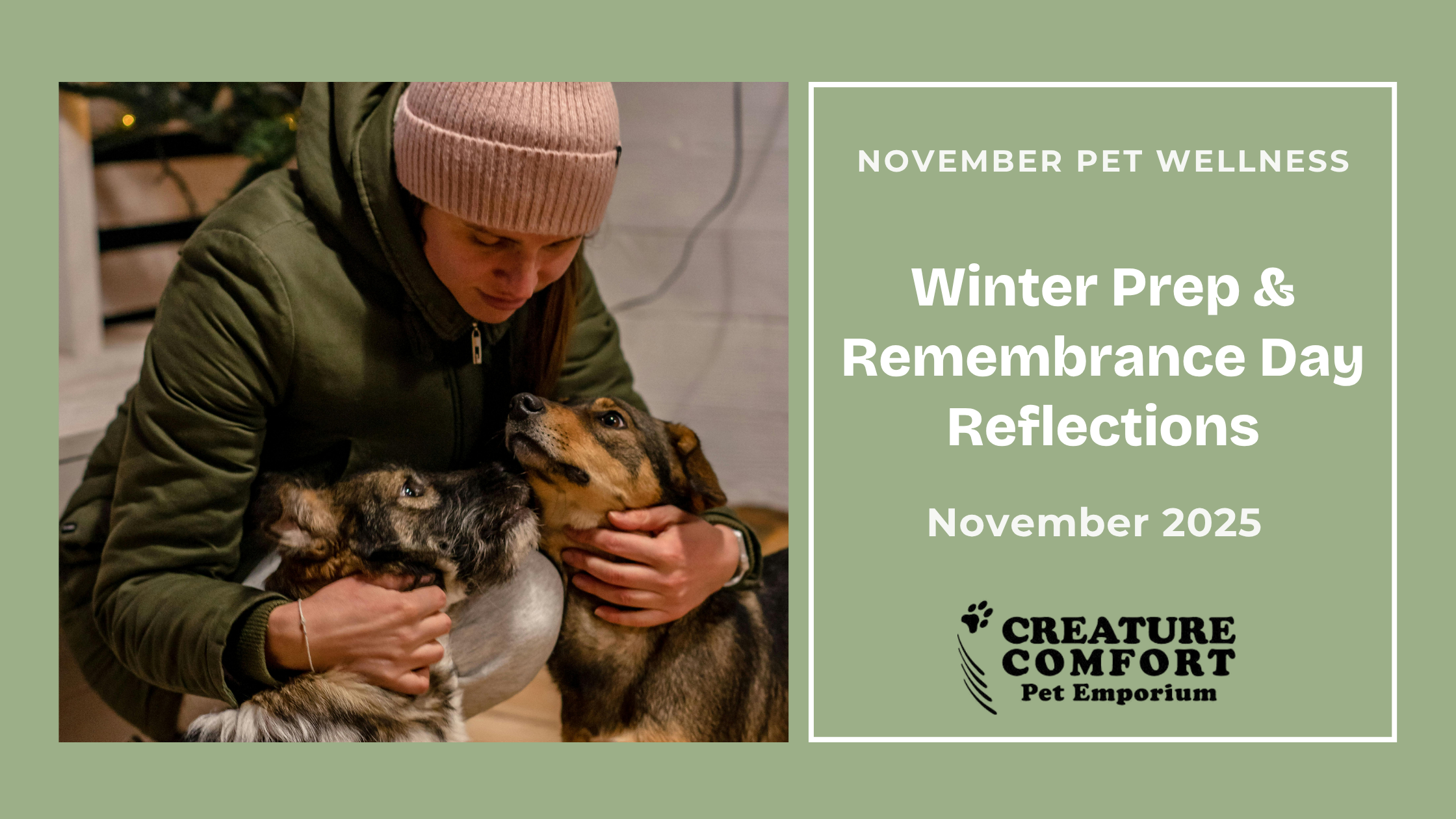 Winter Prep & Remembrance Day Reflections – Creature Comfort Pet Emporium