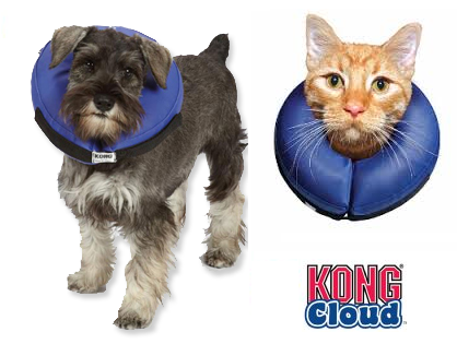 Kong Cloud Collar Medium 10 - 13" – Creature Comfort Pet Emporium