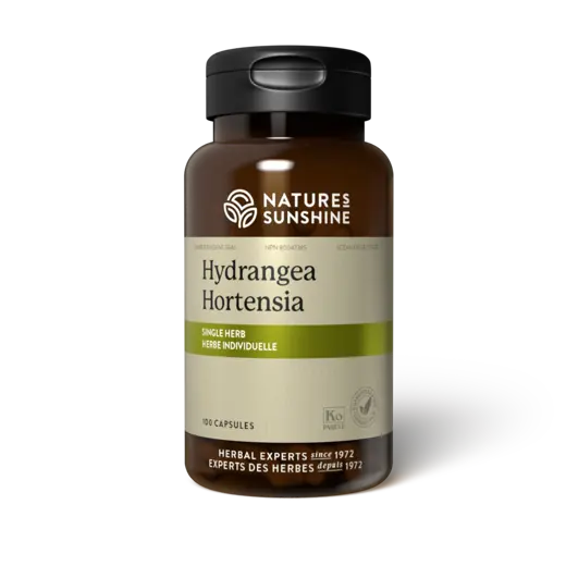 Hydrangea Root Urinary ph acidifier 325 mg 100 capsules – Creature ...